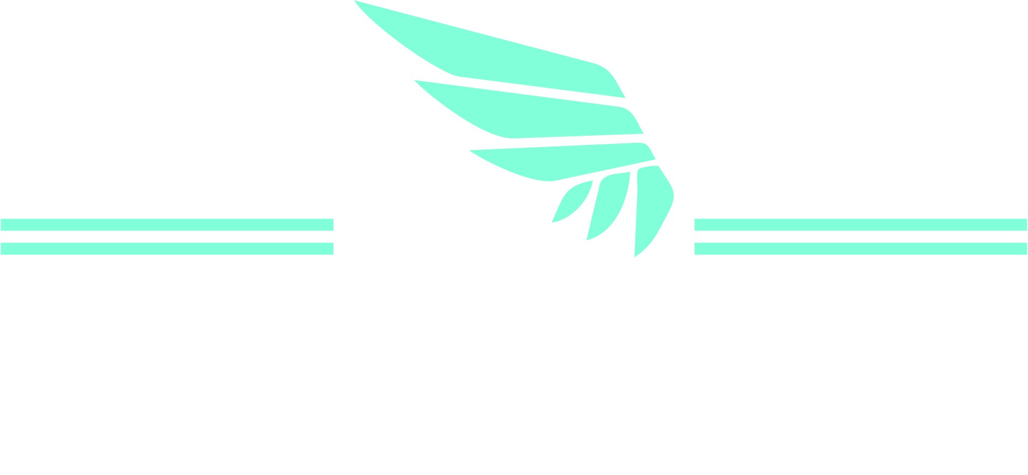 Aircraft Transition – aerobridgeusa.com